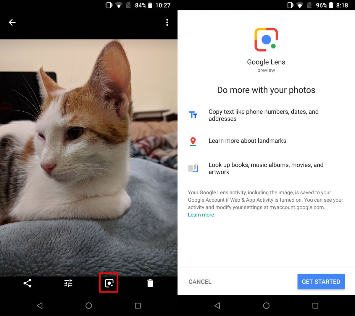 How To Use Google Lens To Identify Objects In Photos — TojiKon.Net